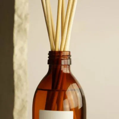 Radiant Spiced Tangerine Diffuser – Dante Men